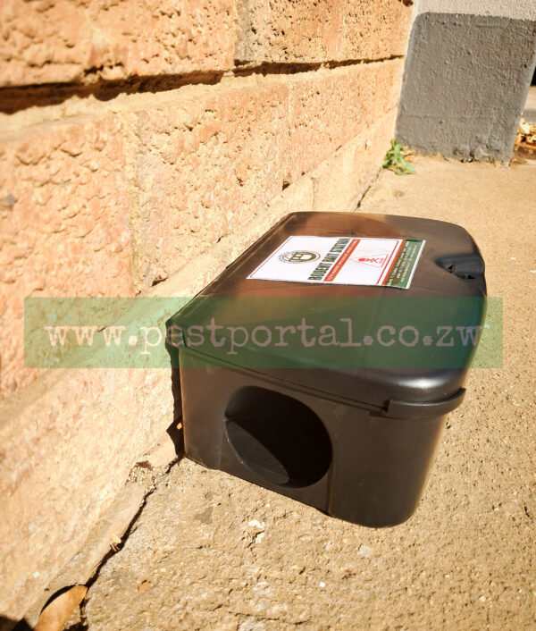 How Can You Stop Rodent Infestation in Warehouses