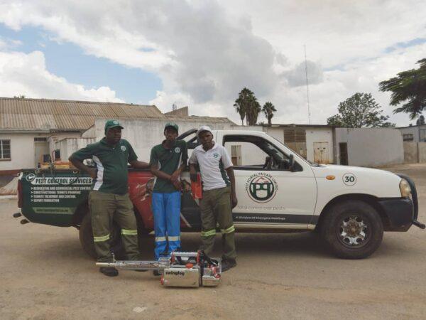 How to get rid of rats or rodents in Harare and Zimbabwe?