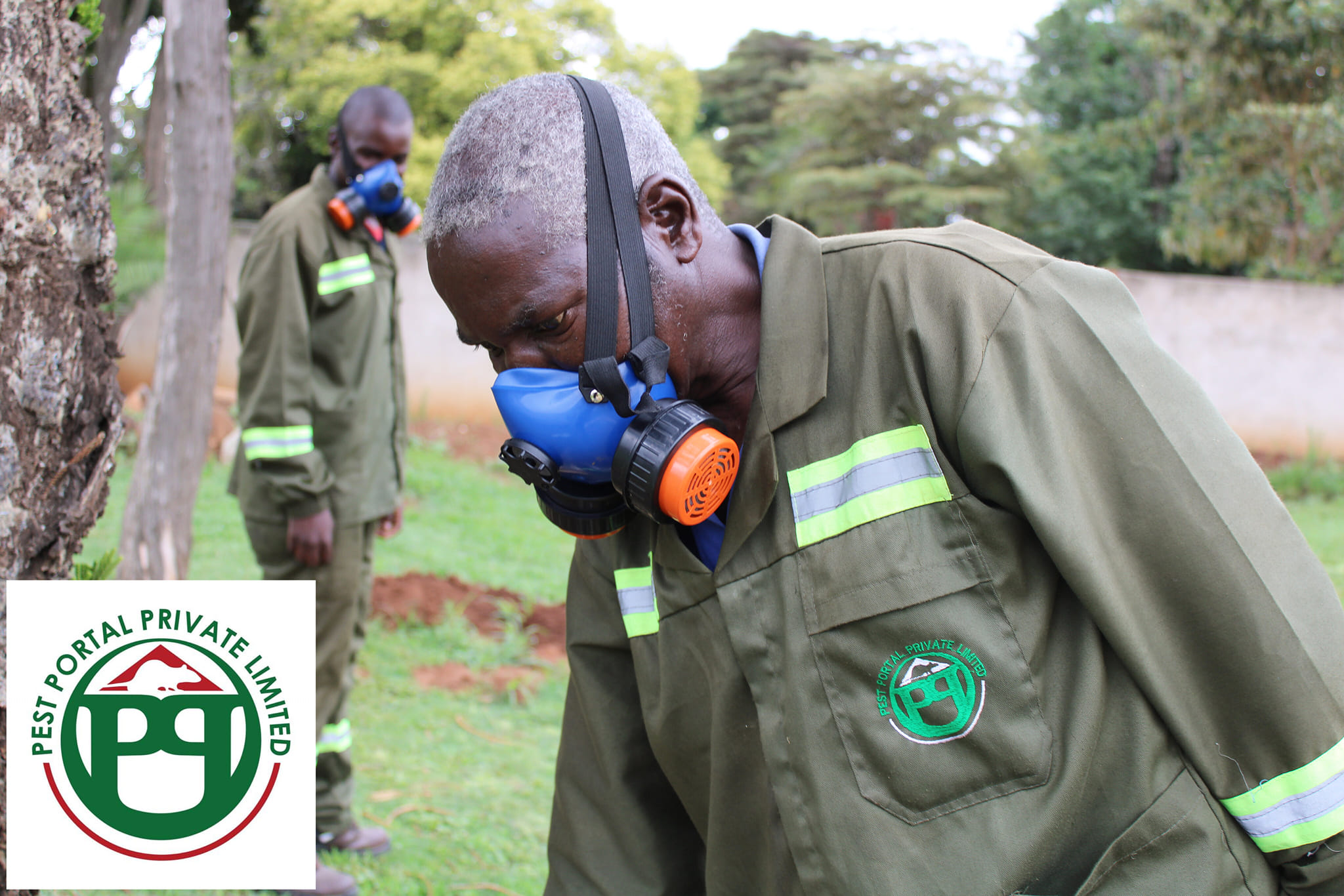 Pest Control Gweru | Call 0772593344 | Guaranteed Pest Services