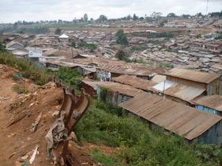 Rodents provide clues as to causes of human illness in African slums ...